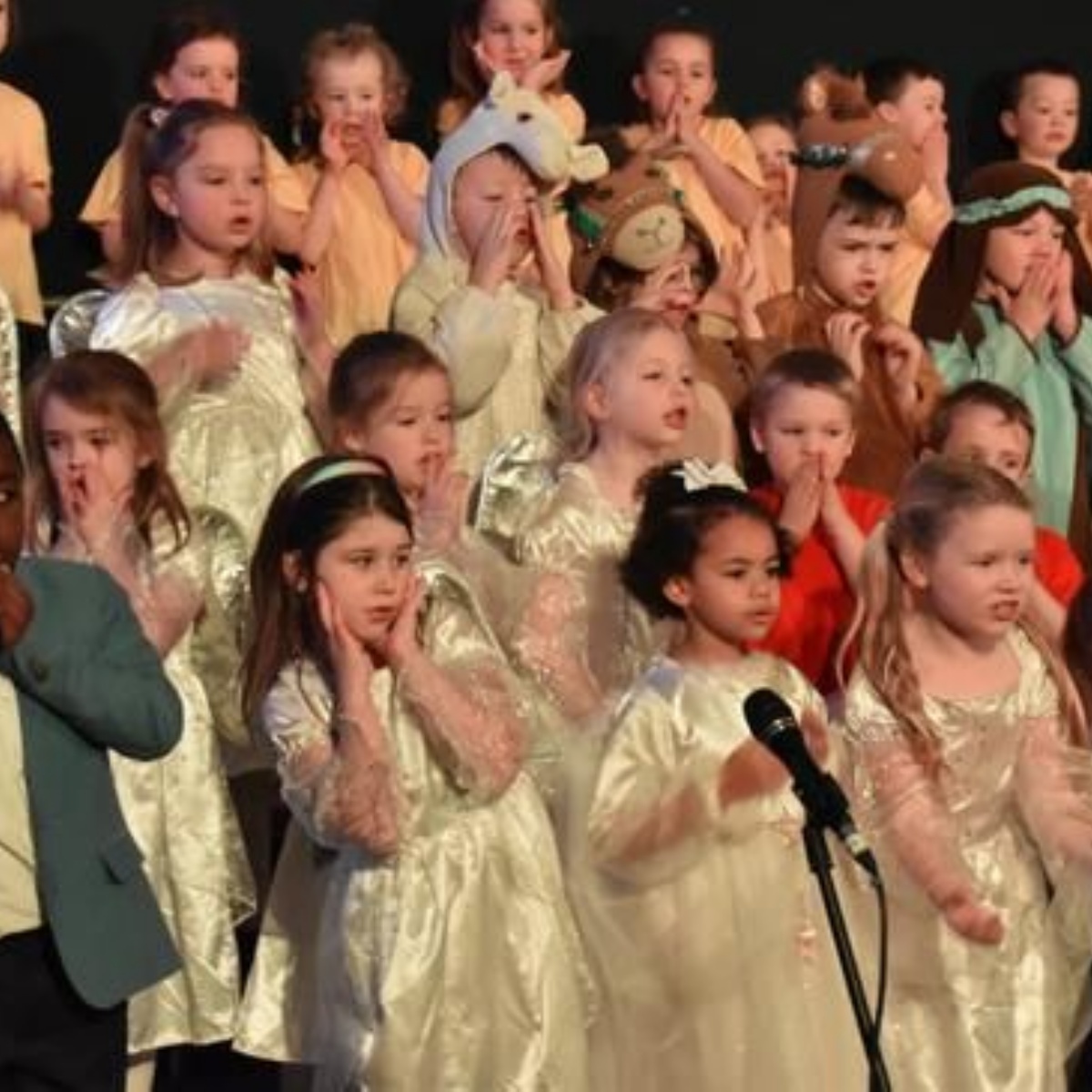 Gilnahirk Primary School - Gilnahirk Nativities