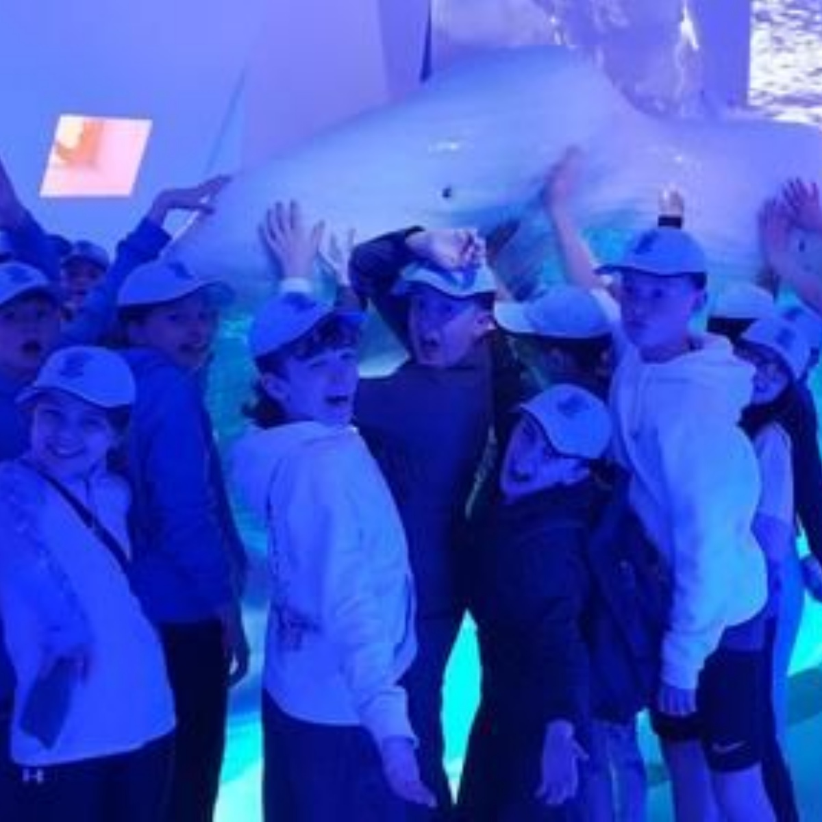 Gilnahirk Primary School - Really enjoying our morning at Dynamic Earth