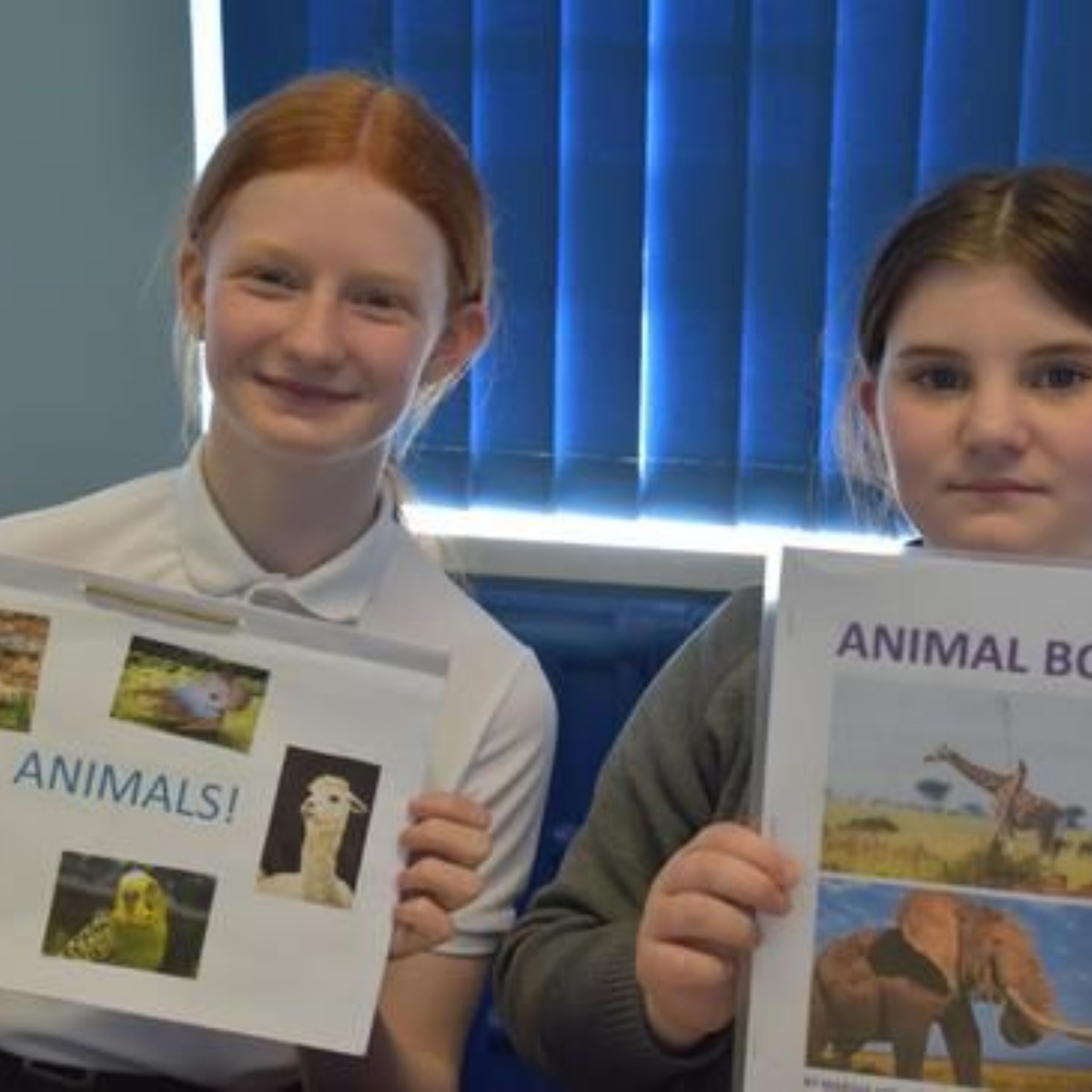 Gilnahirk Primary School - P7 Animal Research